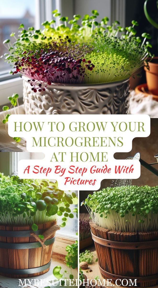 How To Grow Your Microgreens At Home: A Step By Step Guide With ...