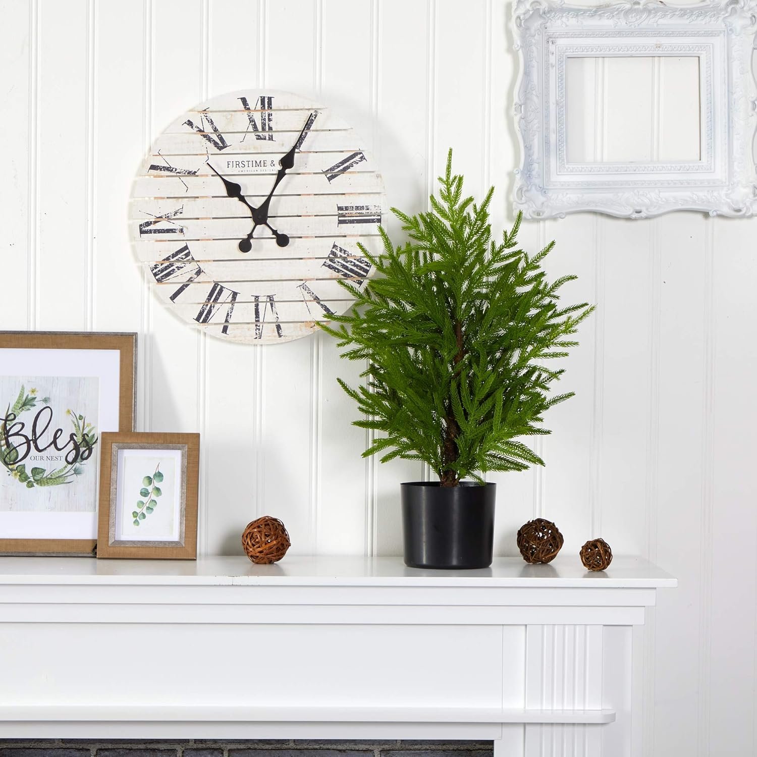 21 Gorgeous Tall Indoor Plants For A Stylish Home Oasis - My Besuited Home