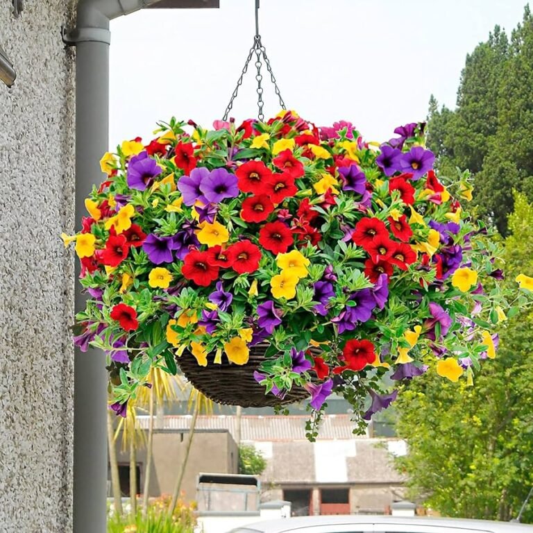 20+ Full Sun Container Plants Ideas To Brighten Your Day - My Besuited Home