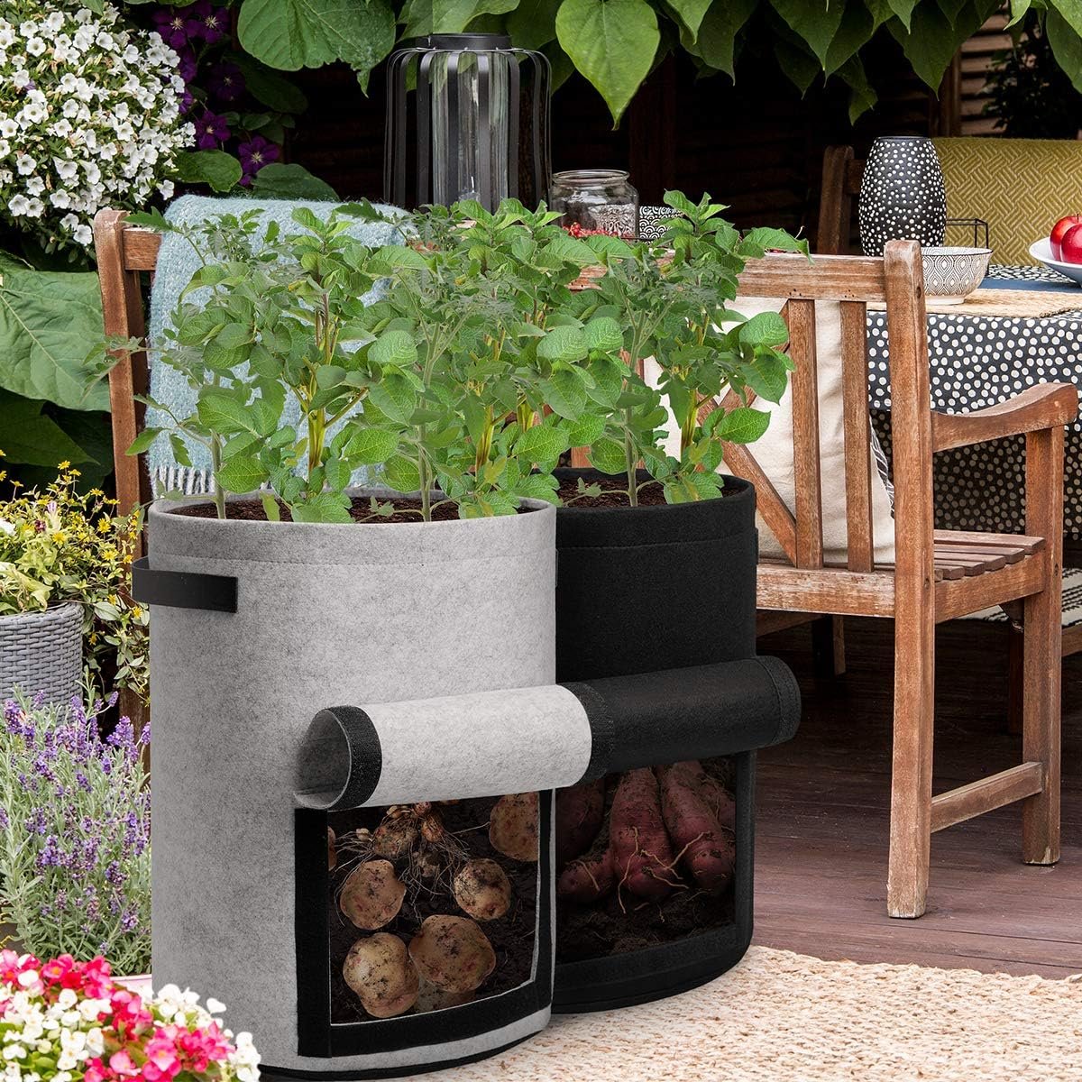 13 Stunning Container Garden Planting Ideas To Transform Your Space ...