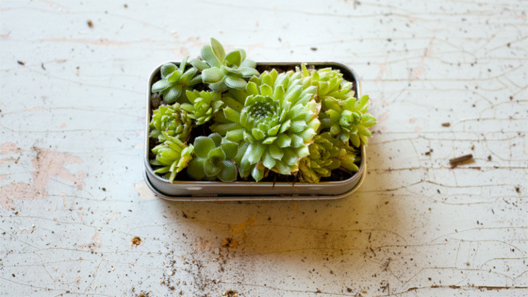 17 Fantastic Mint Tin Crafts To Unleash Your Inner DIY Master - My ...