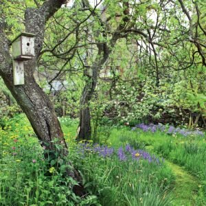 11 Creative Under Tree Landscaping Ideas - My Besuited Home