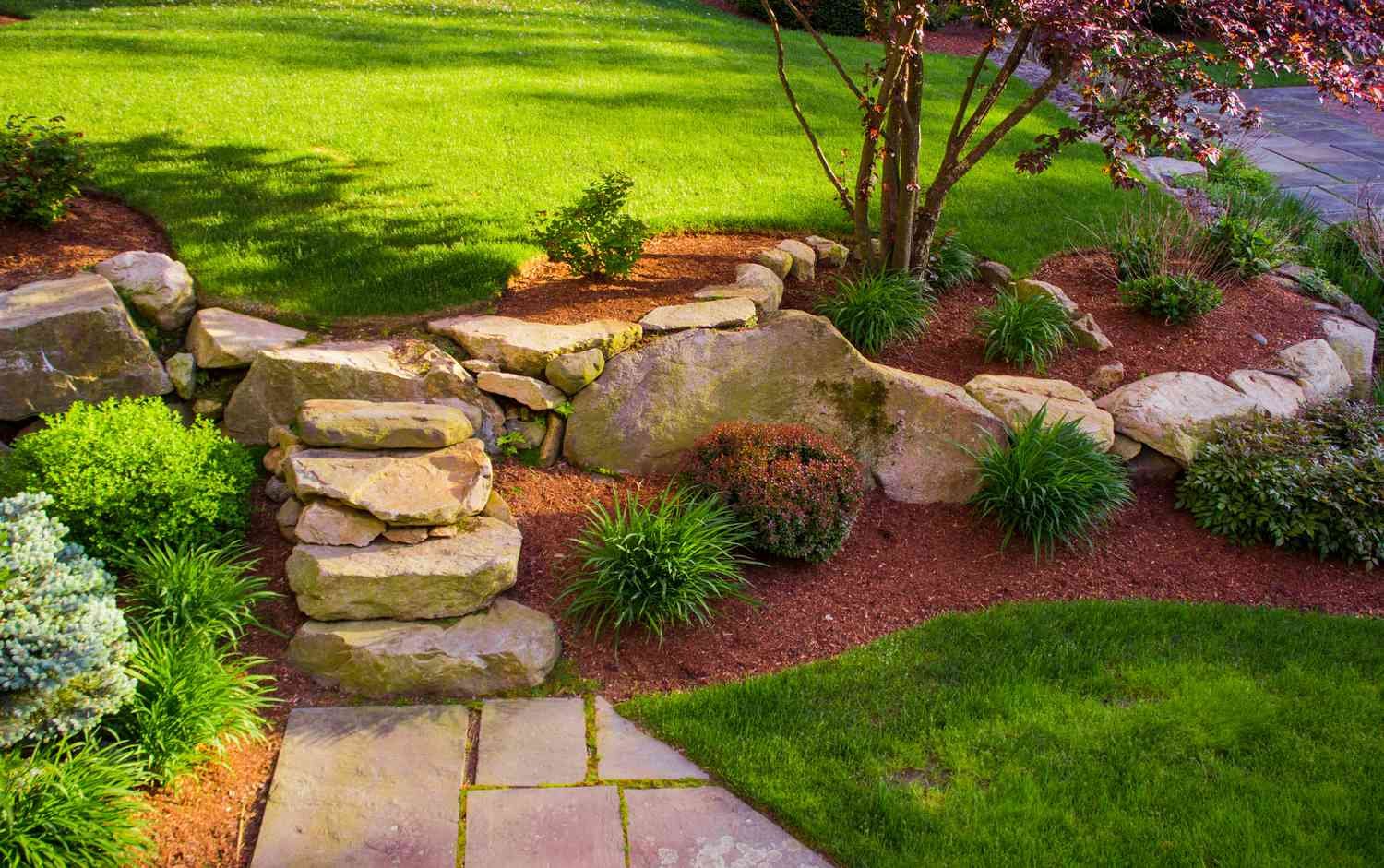 11 Creative Under Tree Landscaping Ideas - My Besuited Home