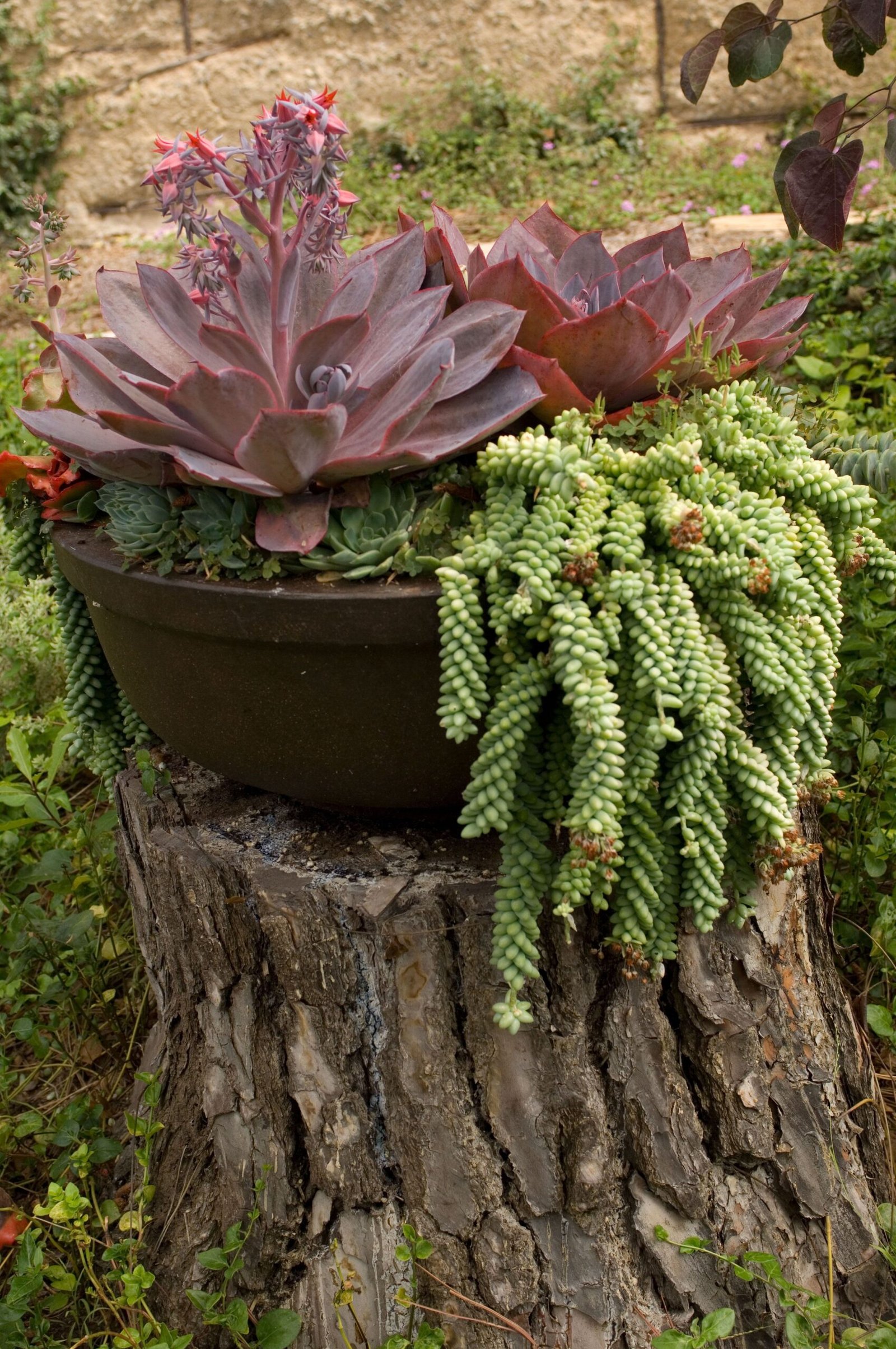 15 Creative Tree Stump Ideas That Will Elevate Your Outdoor Space - My ...