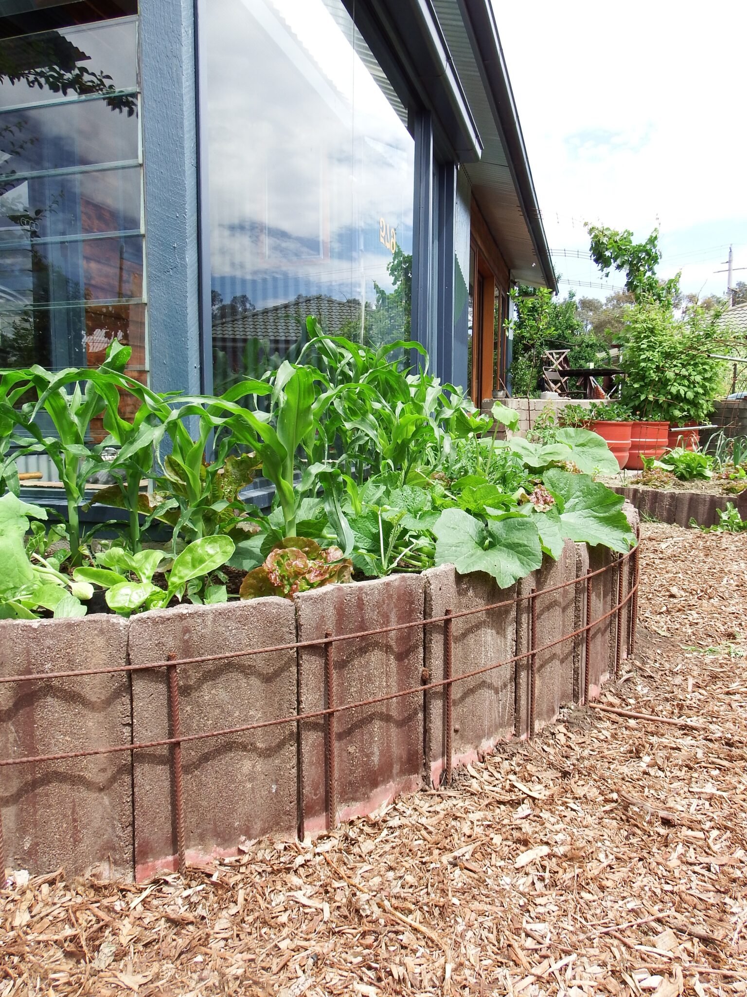 17 Garden Edging Ideas To Define And Beautify Your Outdoor Space - My ...