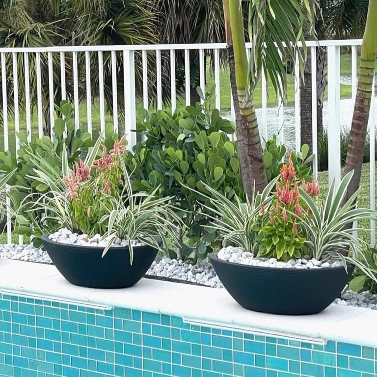 17 Perfect Planters Around The Pool: Stylish Ideas To Elevate Your ...