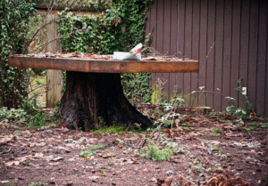 15 Creative Tree Stump Ideas That Will Elevate Your Outdoor Space - My ...