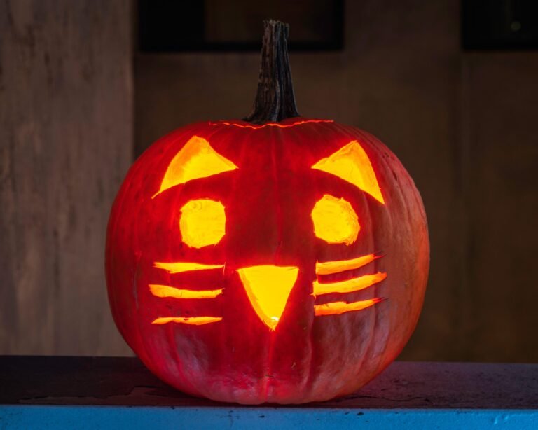 15 Cat Pumpkin Patterns That Are Scarily Cute - My Besuited Home
