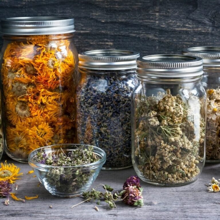 15 Unique DIY Botanical Gifts: Thoughtful Green Creations Anyone Can ...