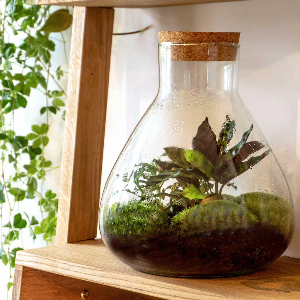 15 Unique DIY Botanical Gifts: Thoughtful Green Creations Anyone Can ...