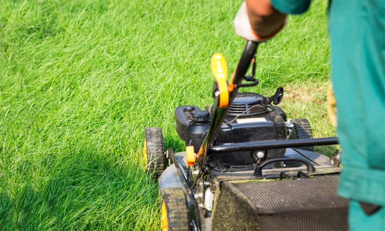 15 Natural Ways To Get Rid Of Stickers In Your Yard - My Besuited Home