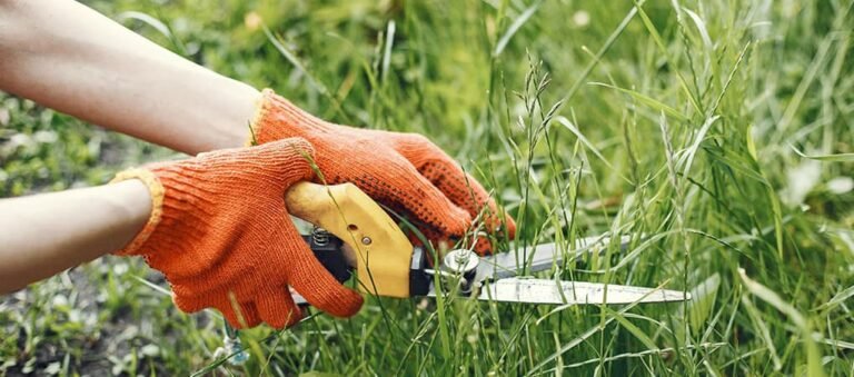 15 Natural Ways To Get Rid Of Stickers In Your Yard - My Besuited Home