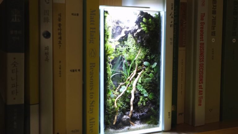 11 Creative Fish Tank Terrarium Ideas To Transform Old Aquariums Into ...