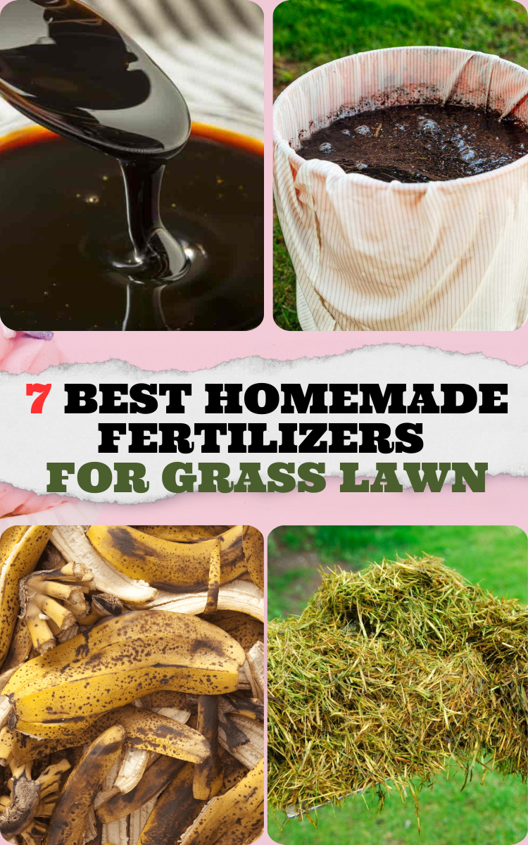 7 Best Homemade Fertilizers For Grass Lawn - My Besuited Home