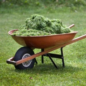 13 Amazing Things You Can Do With Grass Clippings - My Besuited Home