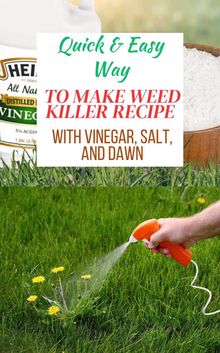How To Make Weed Killer Recipe With Vinegar, Salt, And Dawn - My ...