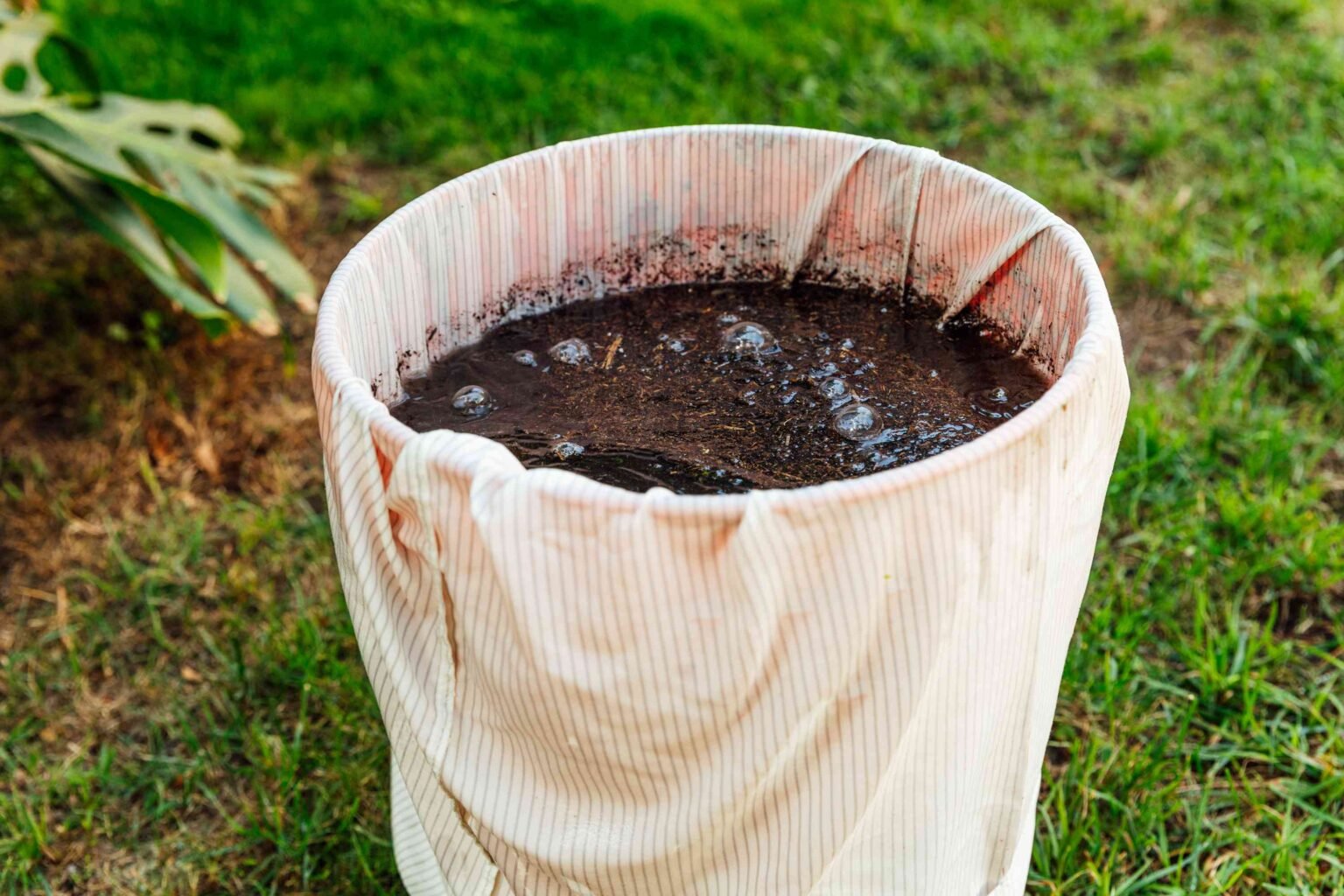 13 Amazing Things You Can Do With Grass Clippings - My Besuited Home