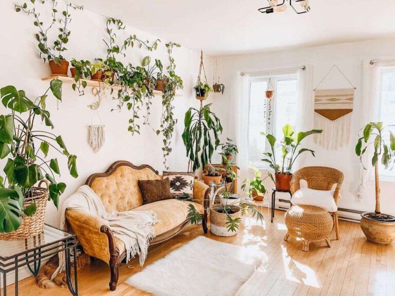 10 Essential Plant Care Tips Every Home Gardener Should Know - My ...