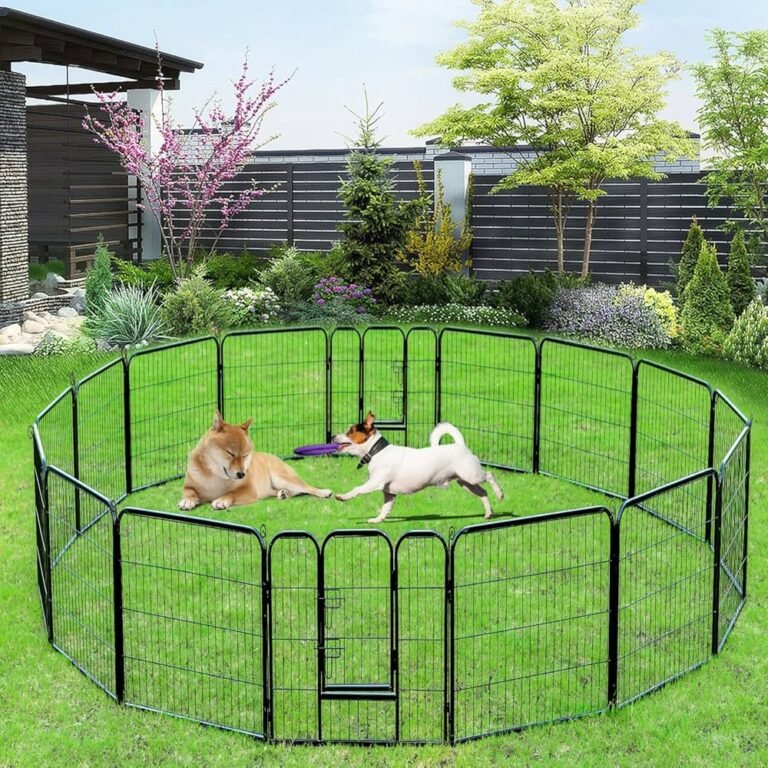 14 Pet-Friendly Backyard Landscaping Ideas - My Besuited Home