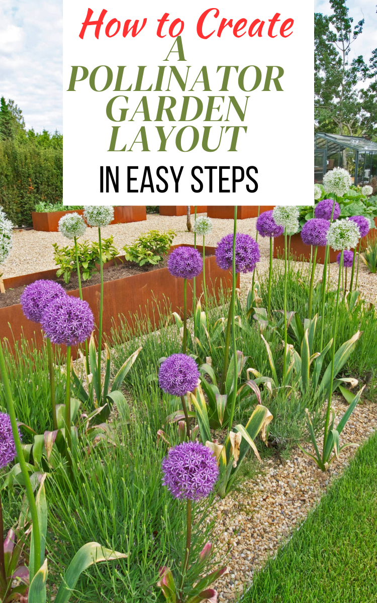 How To Create A Pollinator Garden Layout In 8 Easy Steps - My Besuited Home